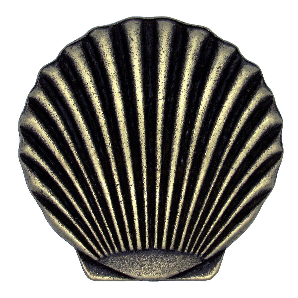 Scallop Shell Knob | Bella Coastal Decor
