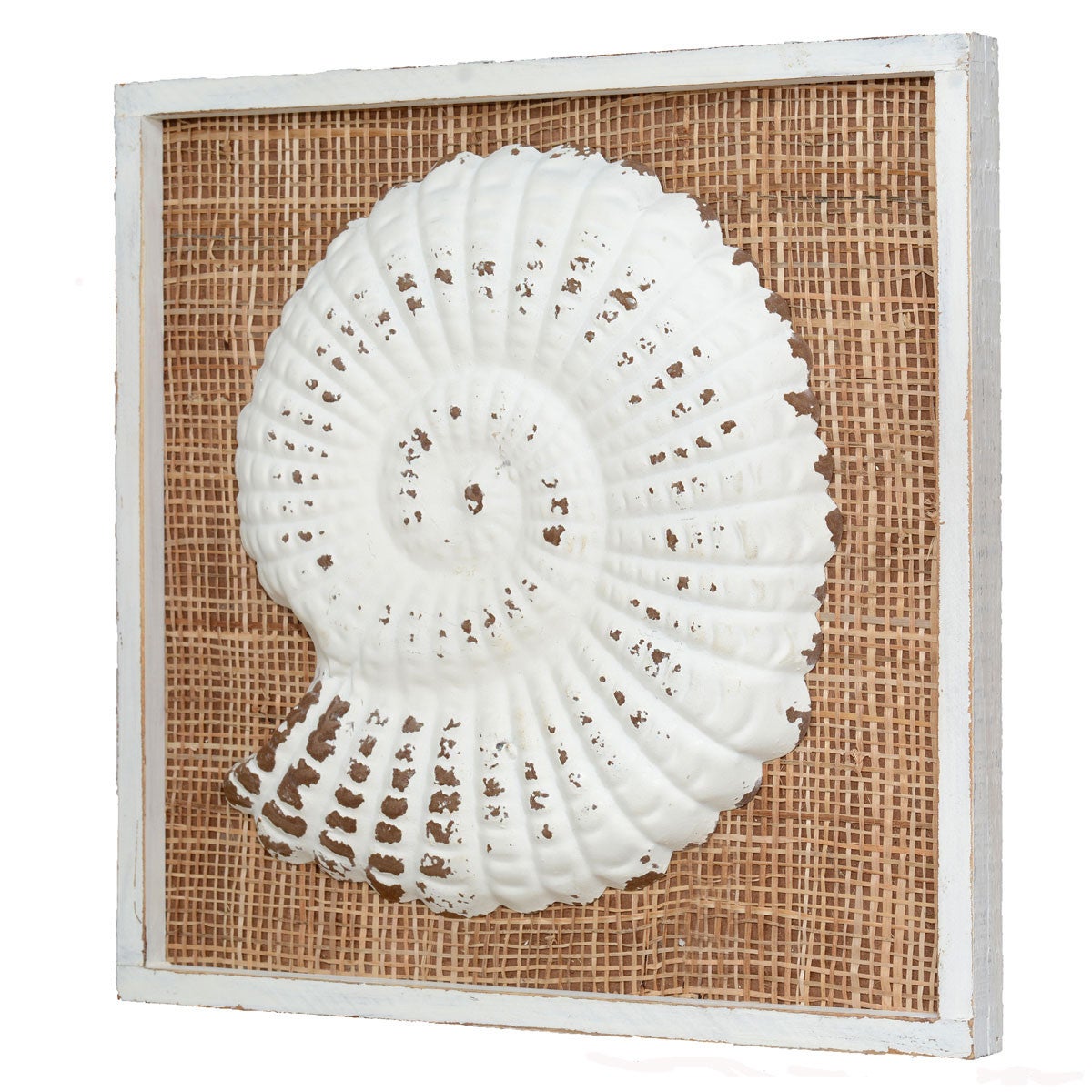 Island Shells Sea Snail Wall Art | Bella Coastal Decor