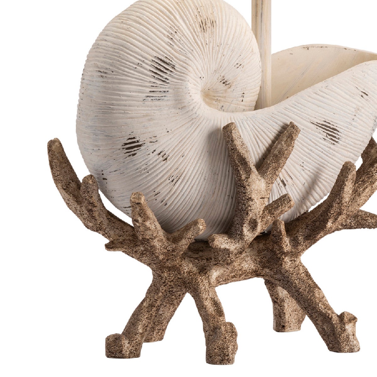 Shell Cradle Table Lamp | Bella Coastal Decor