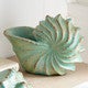 Clay Pottery Nautilus Shell Planter / Sculpture | Bella Coastal Decor
