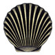 Scallop Shell Knob | Bella Coastal Decor