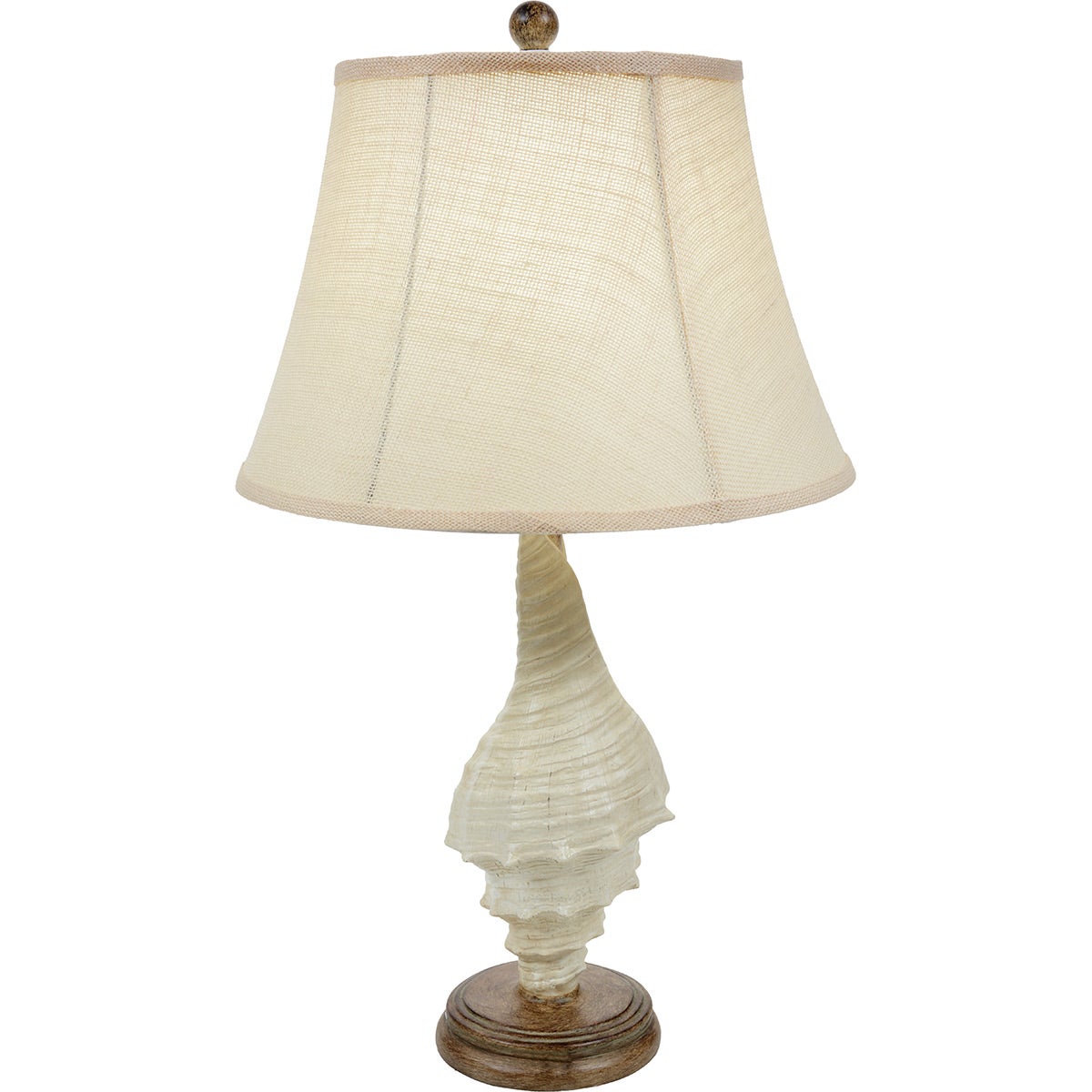 white conch shell lamp