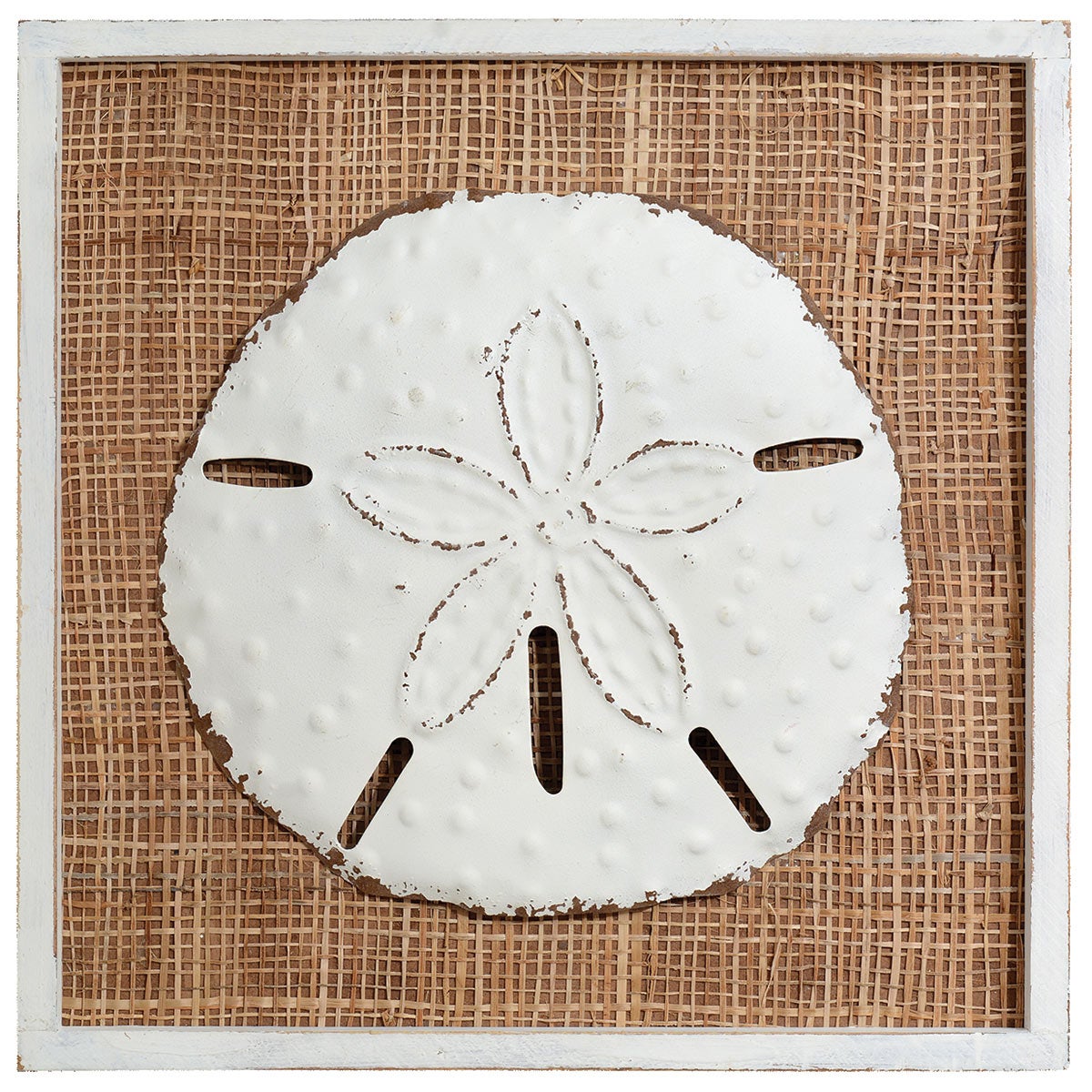 sand dollar stencil